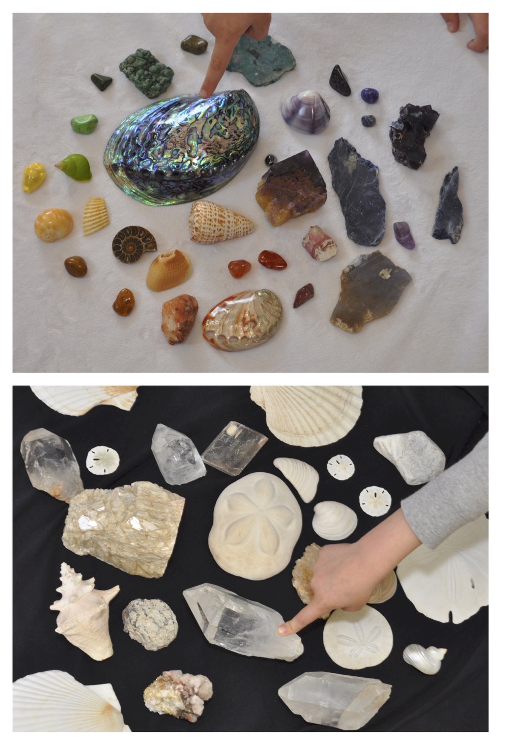 Junior Geologist | Camp-Counselor Mom